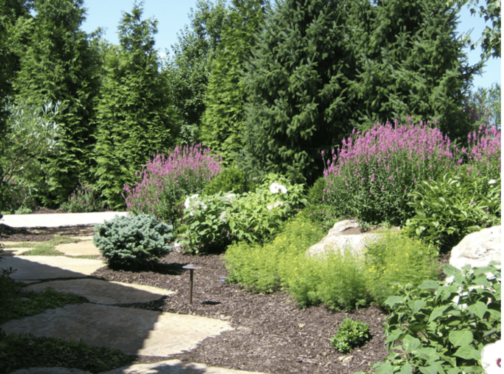 Residential Landscapes← Pinnacle Lawn Care